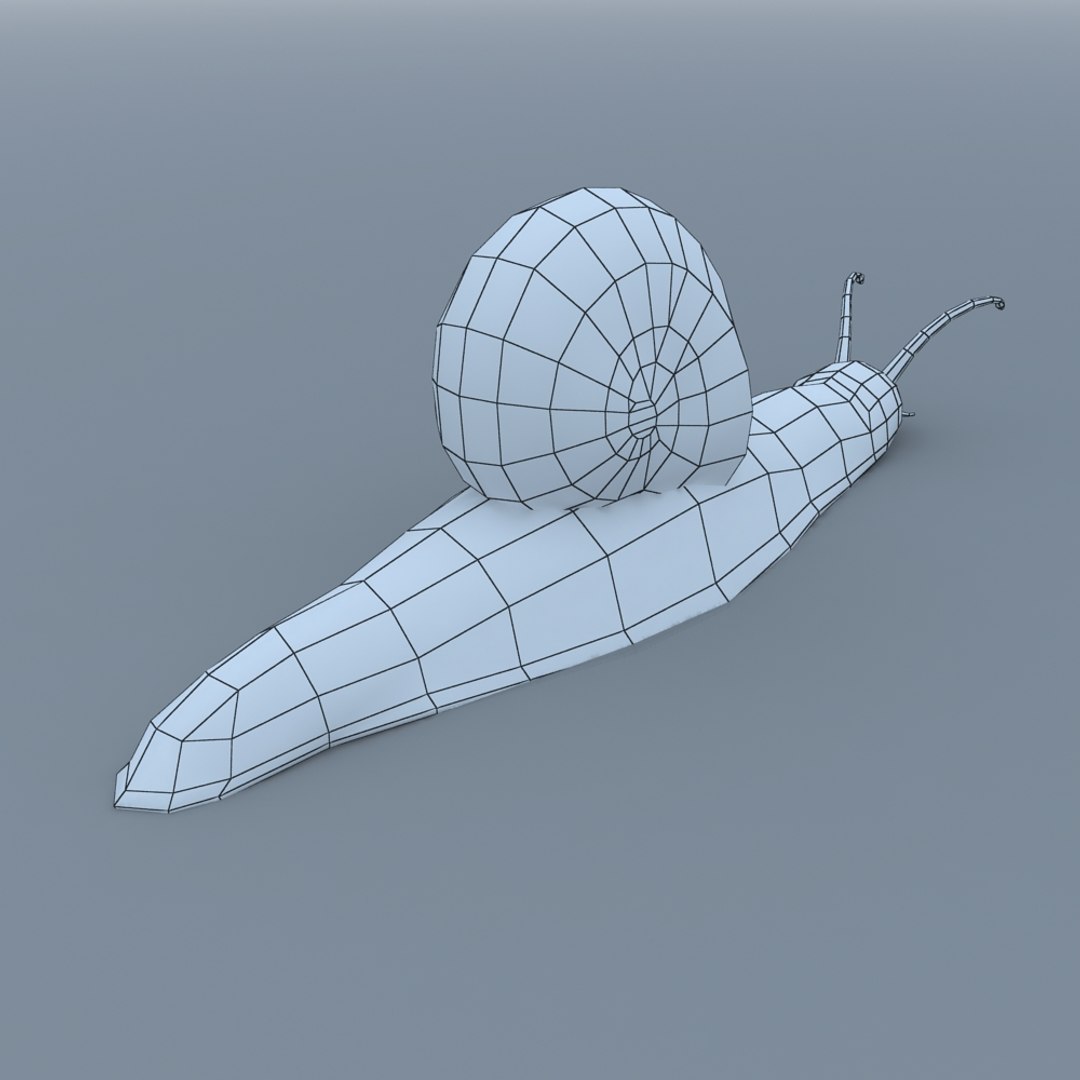 snail 3d model
