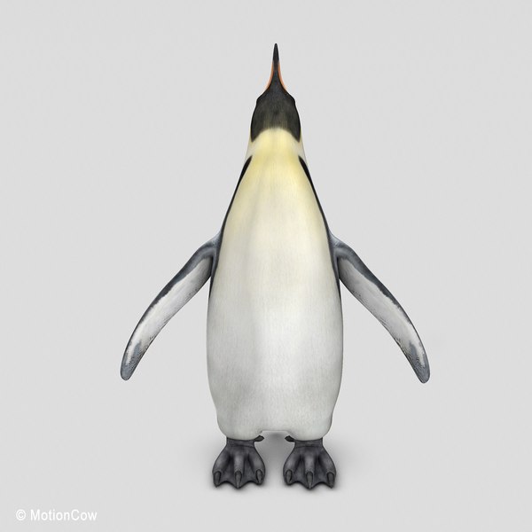 3d emperor penguin model
