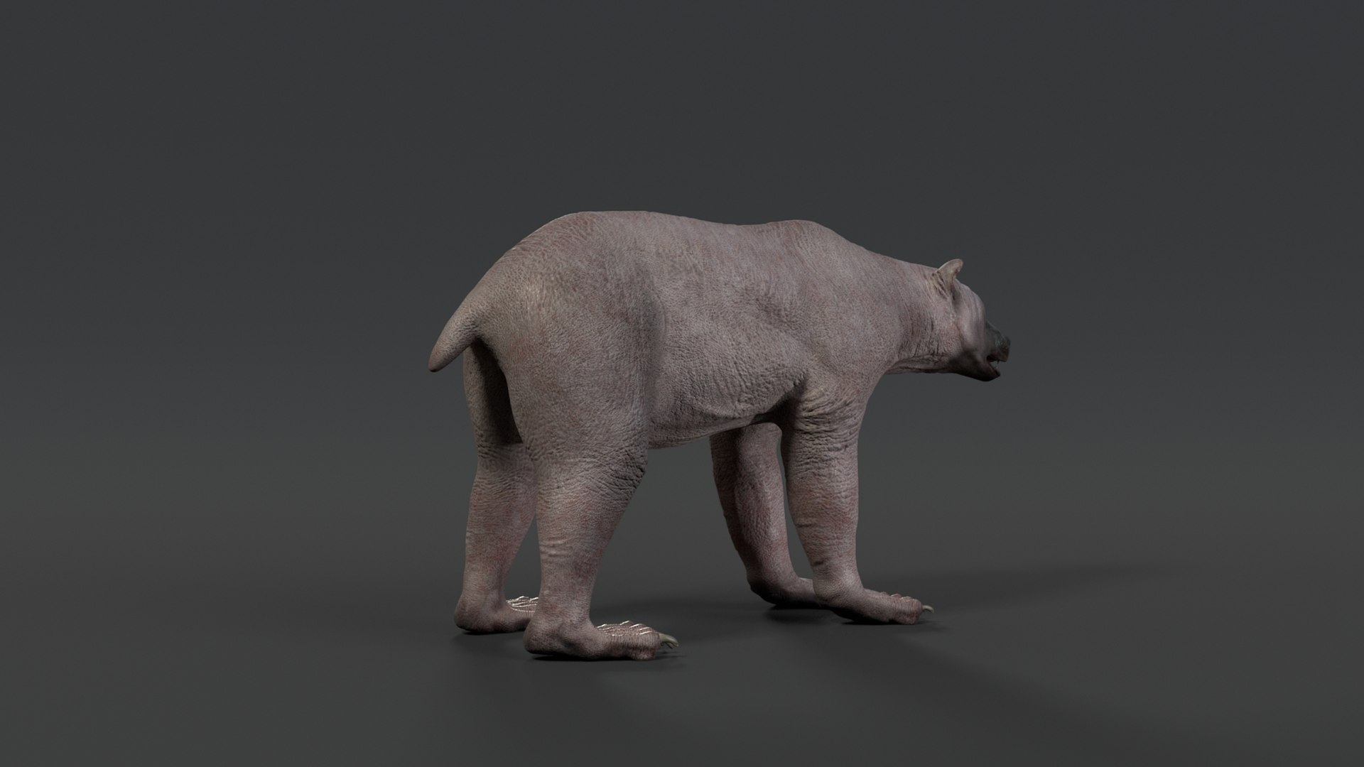 3D Bear Skin 2 - TurboSquid 1740095