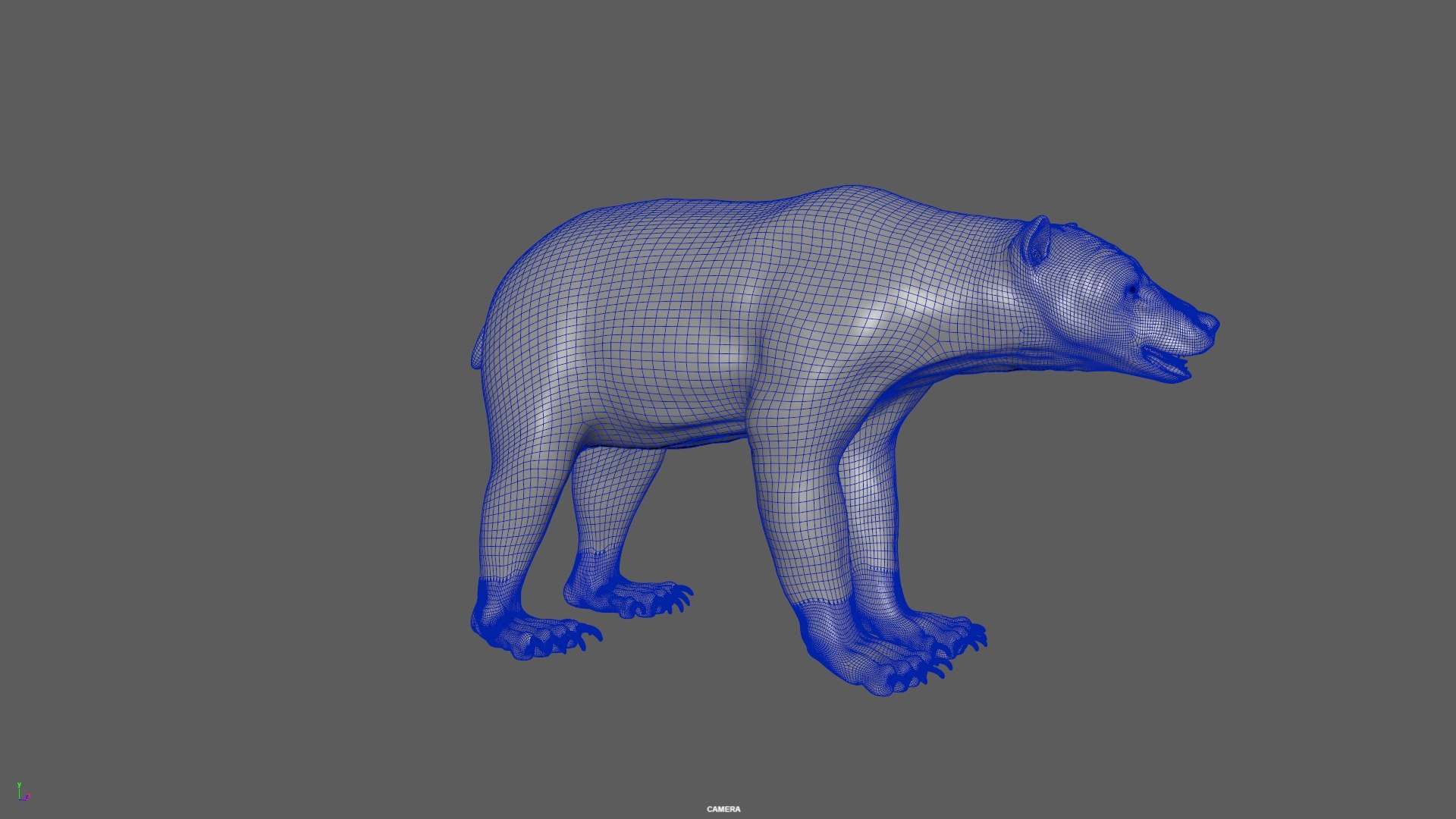 3D bear Skin 2 - TurboSquid 1740095