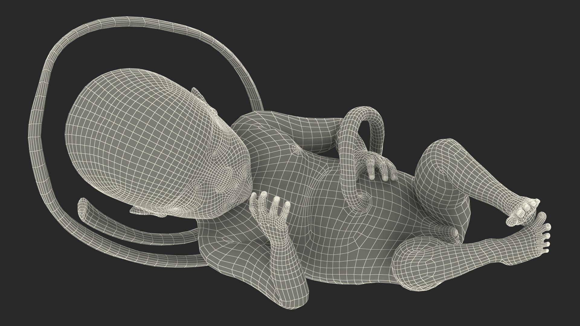 3D second trimester human embryos model - TurboSquid 1691496