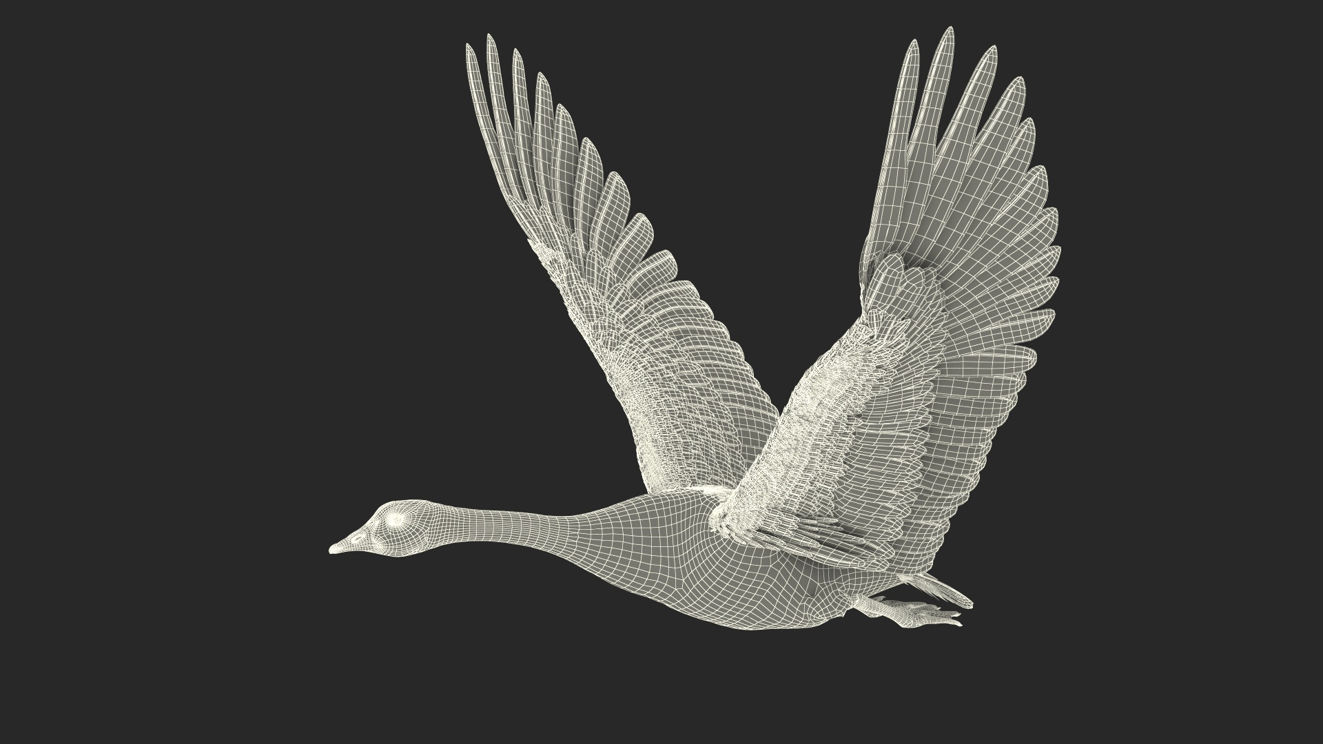North American Goose Flying Pose 3D Model - TurboSquid 2113219