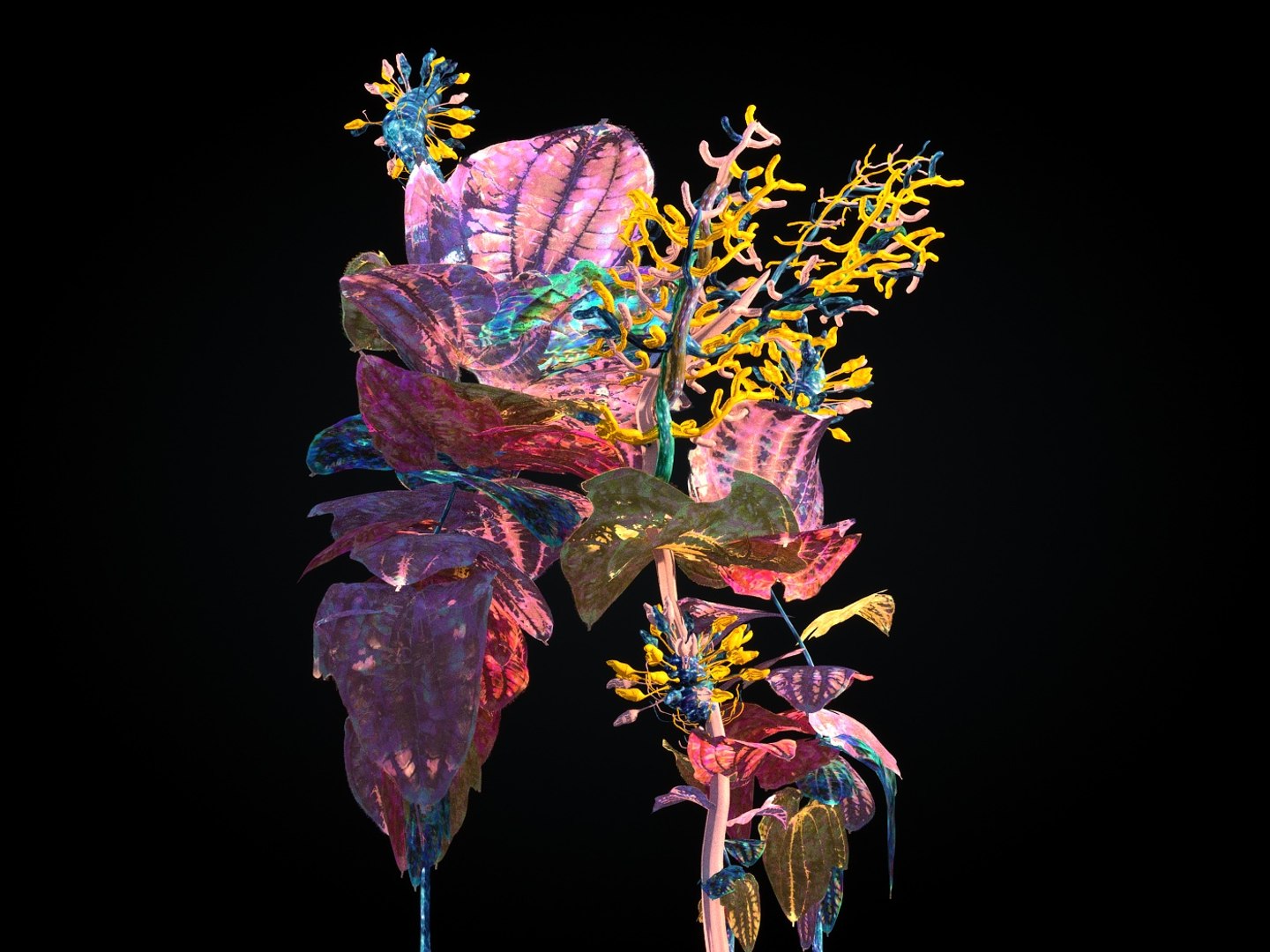 Pandora Flower 3D Model - TurboSquid 1510261