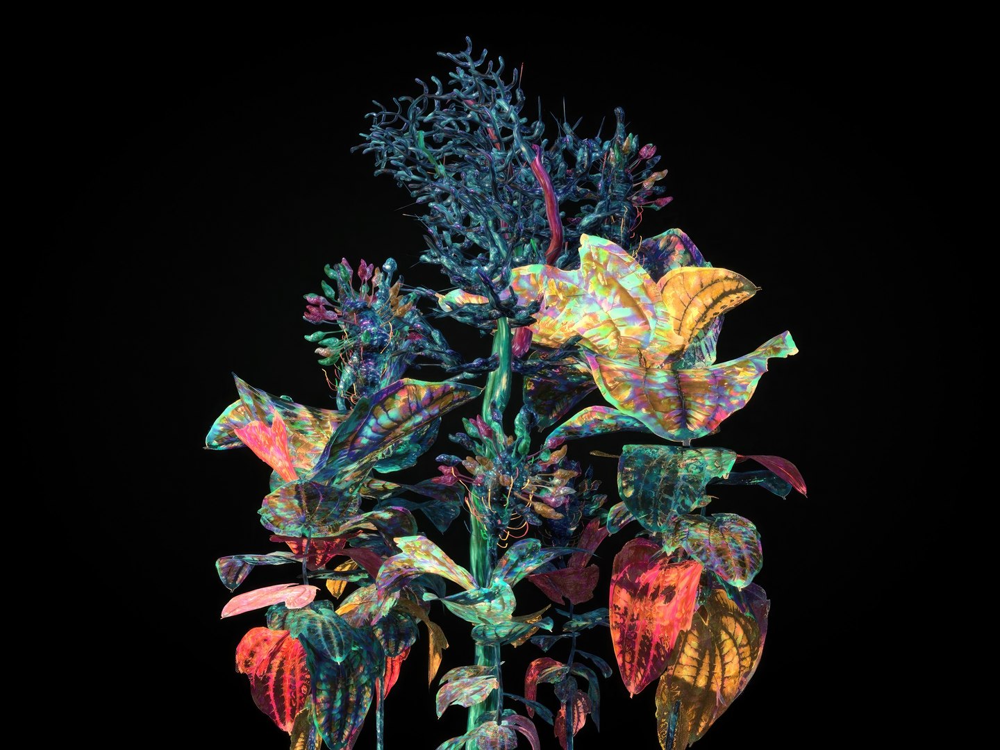 Pandora Flower 3D Model - TurboSquid 1510261