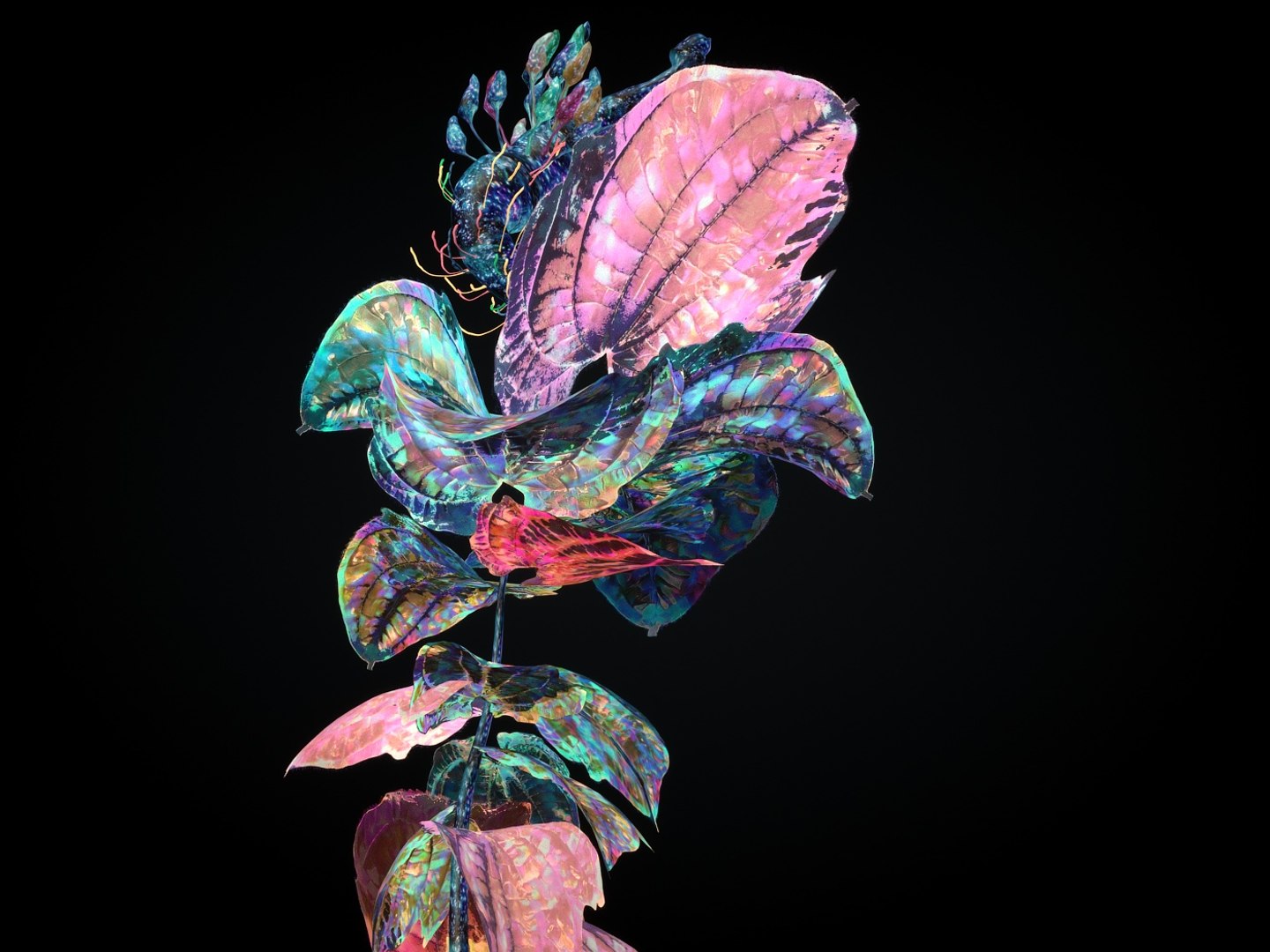 Pandora Flower 3D Model - TurboSquid 1510261