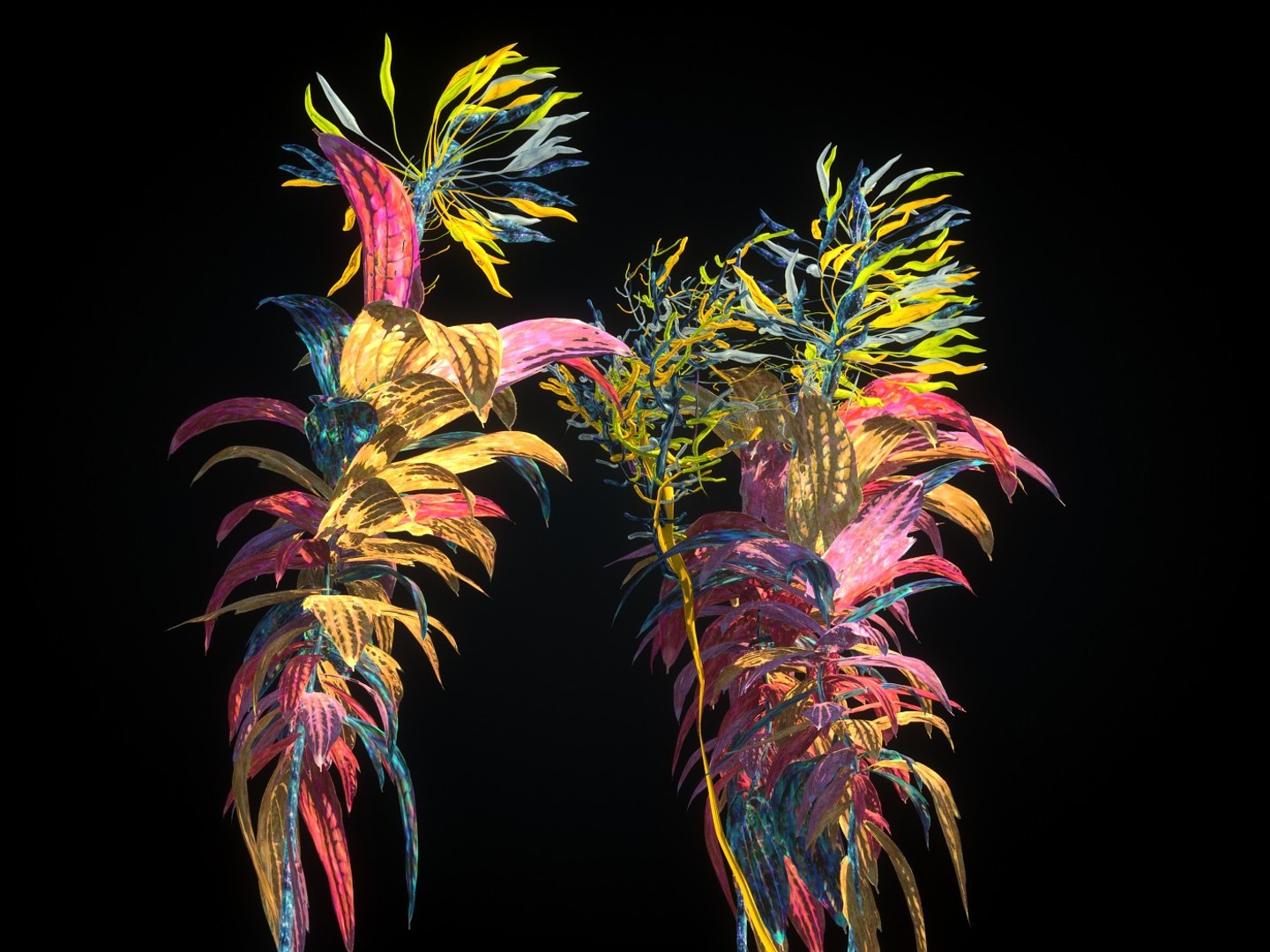 Pandora Flower 3D Model - TurboSquid 1510261