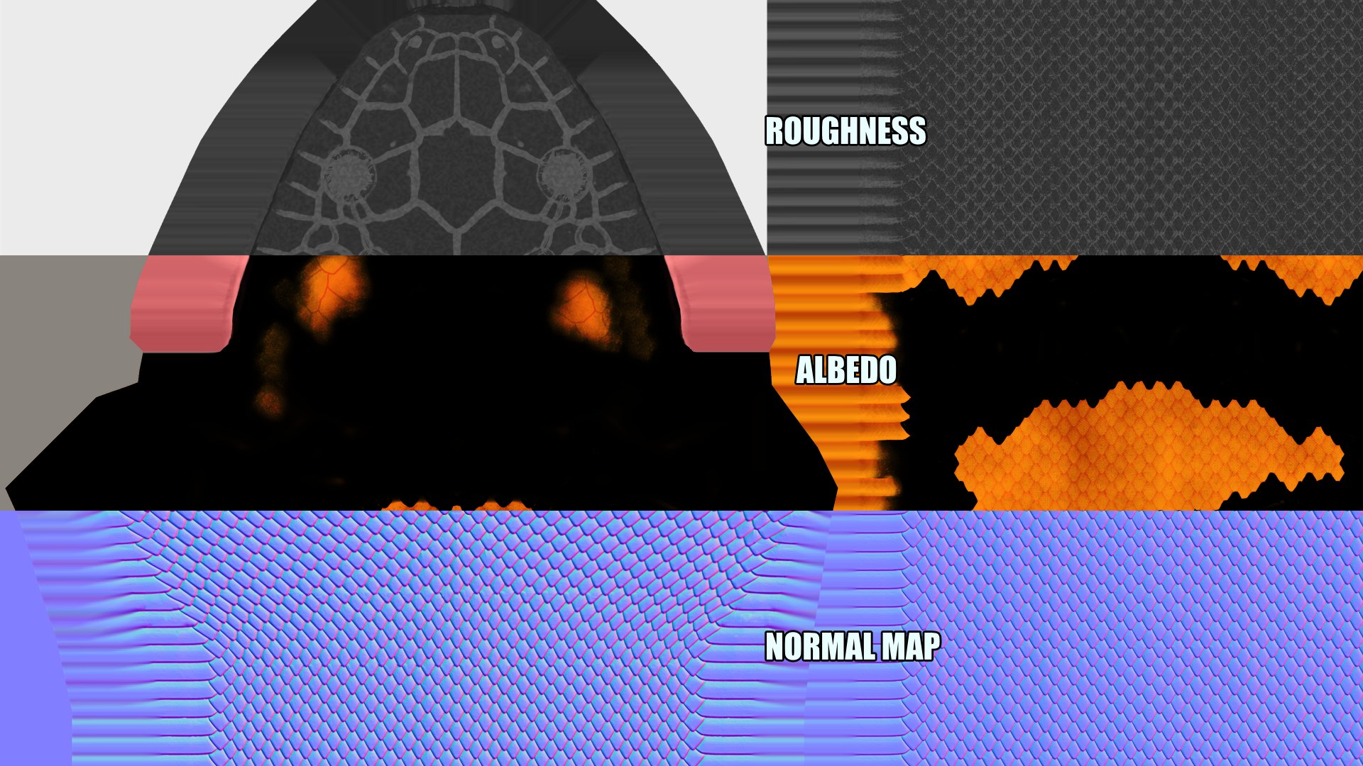 3D Bismarck Ringed Python - Static Poses - TurboSquid 2020535