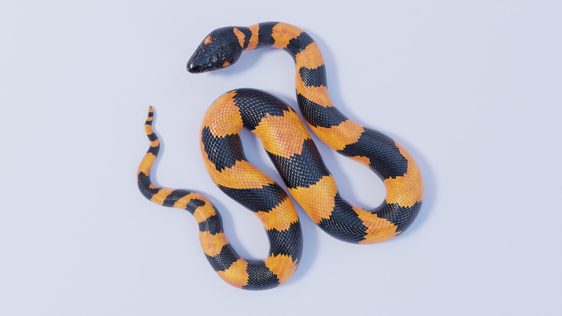 3D Bismarck Ringed Python - Static Poses - TurboSquid 2020535