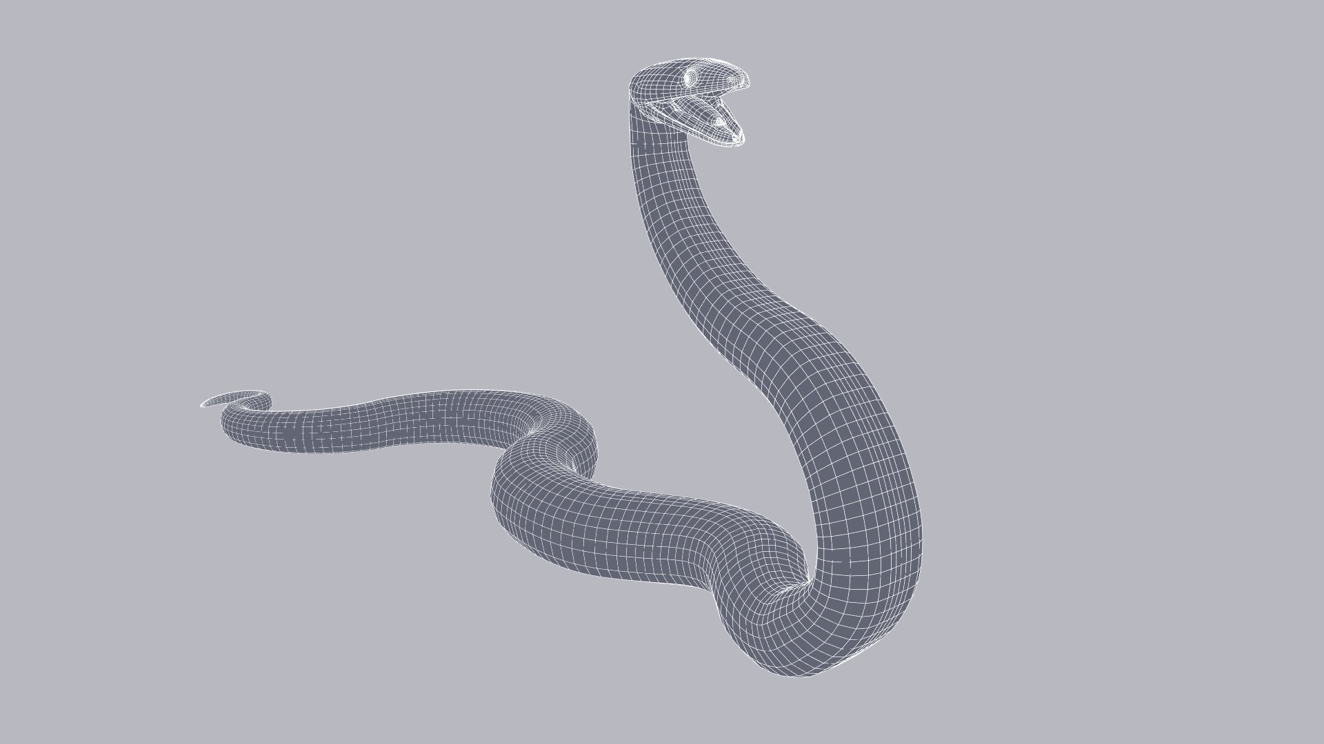 3D Bismarck Ringed Python - Static Poses - TurboSquid 2020535