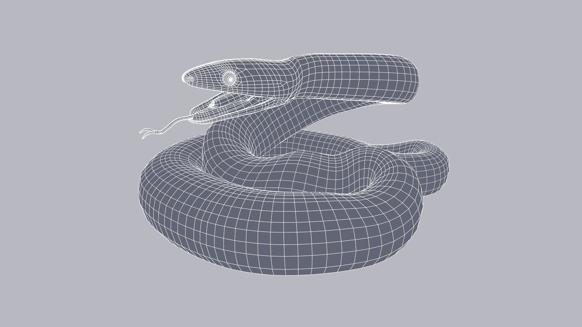 3D Bismarck Ringed Python - Static Poses - TurboSquid 2020535