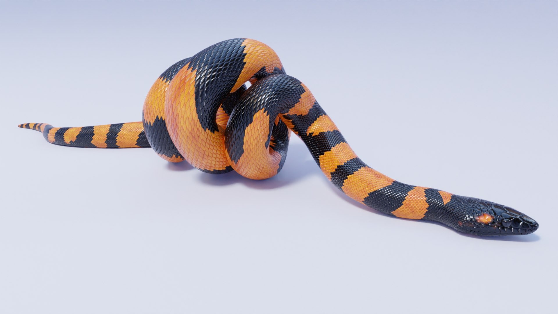 3D Bismarck Ringed Python - Static Poses - TurboSquid 2020535
