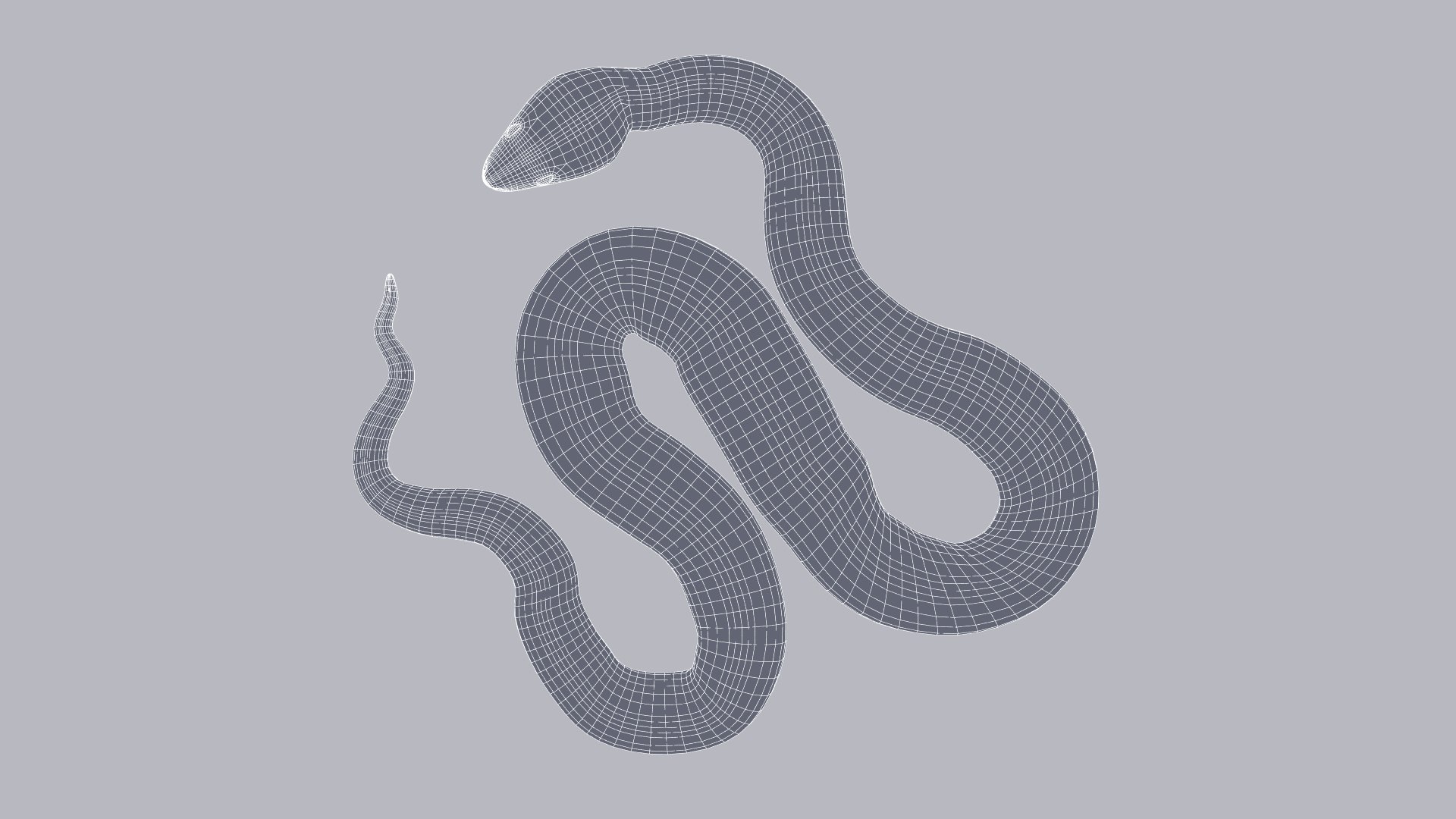 3D Bismarck Ringed Python - Static Poses - TurboSquid 2020535