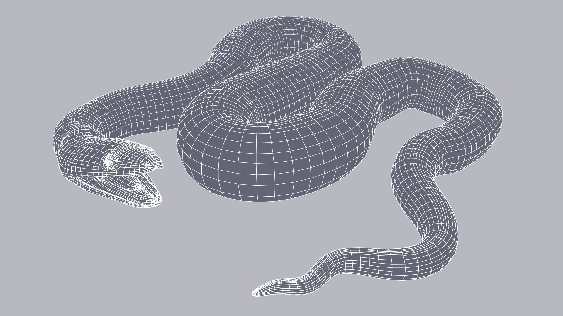 3D Bismarck Ringed Python - Static Poses - TurboSquid 2020535