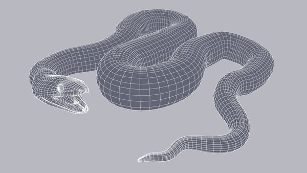 modelo 3d Bismarck Ringed Python - Static Poses - TurboSquid 2020535