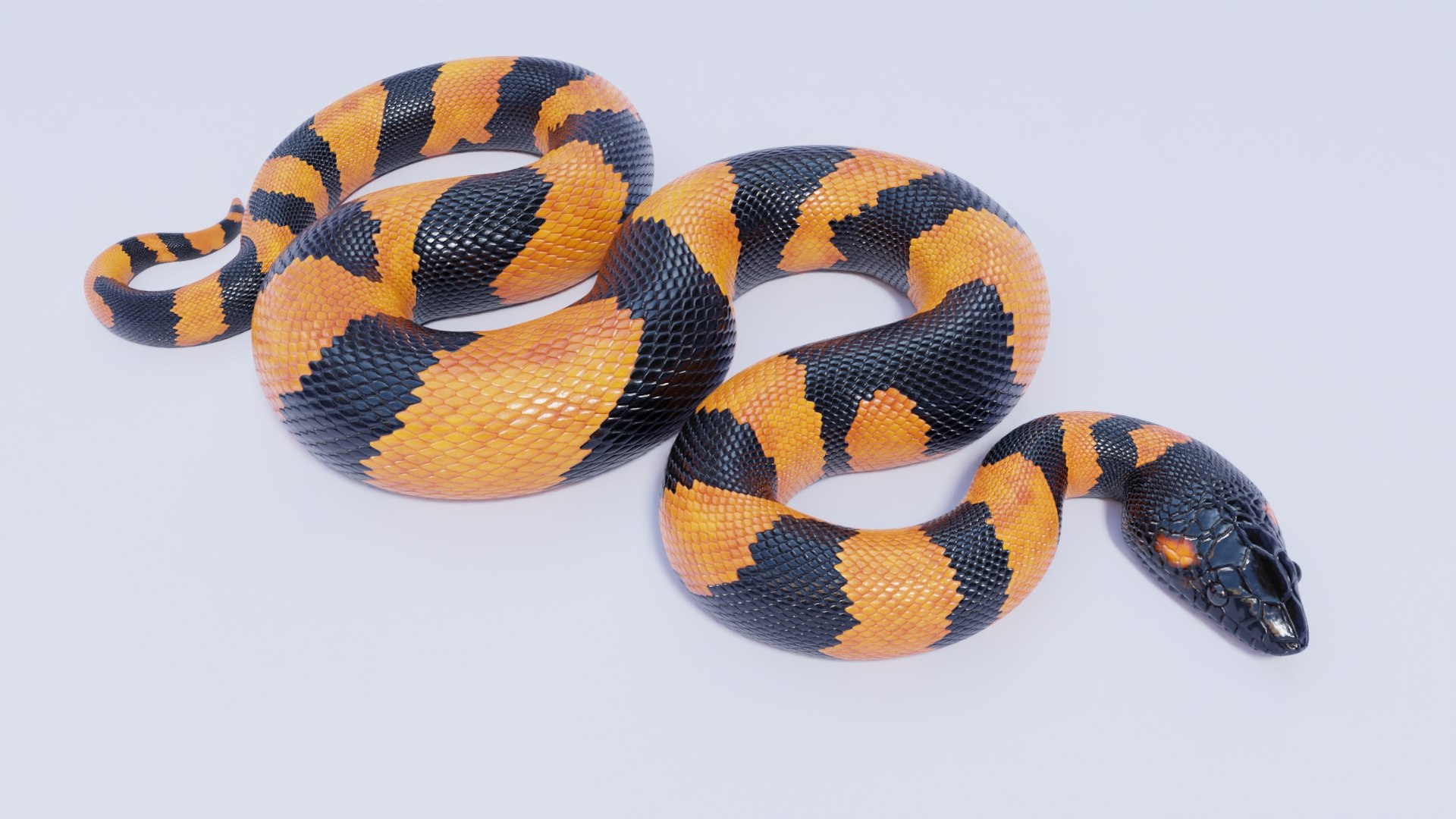 3D Bismarck Ringed Python - Static Poses - TurboSquid 2020535