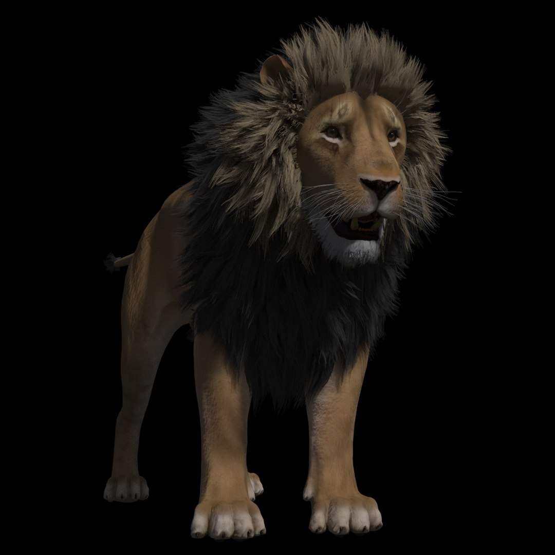 Free Tobias Lion Rig 3D - TurboSquid 1415806