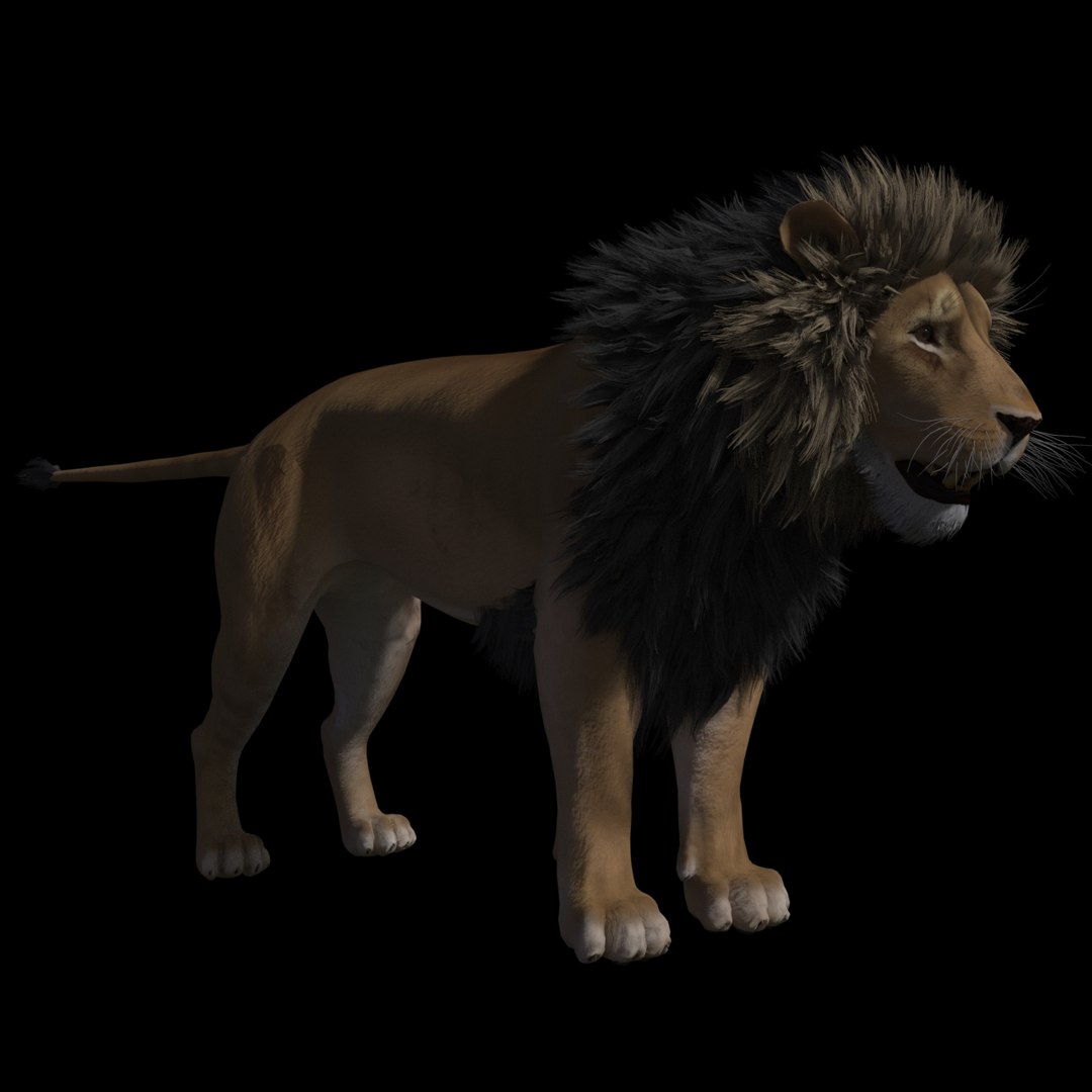Free Tobias Lion Rig 3D - TurboSquid 1415806