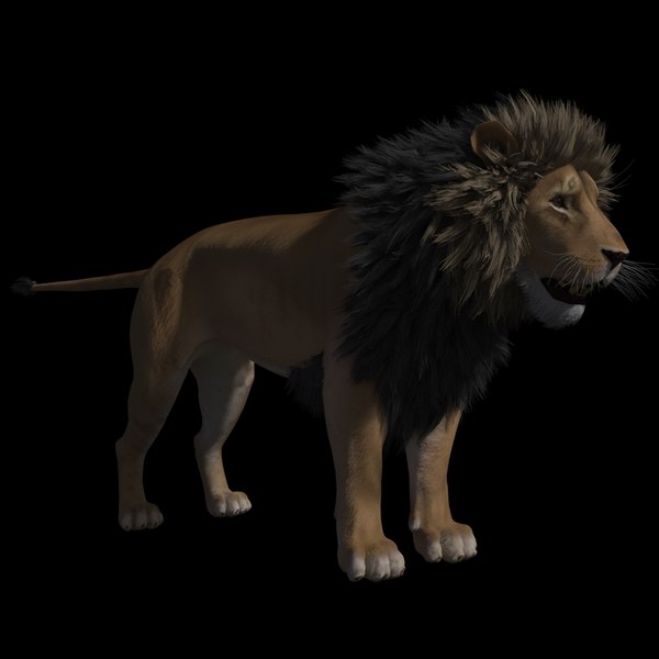 Free tobias lion rig 3D - TurboSquid 1415806