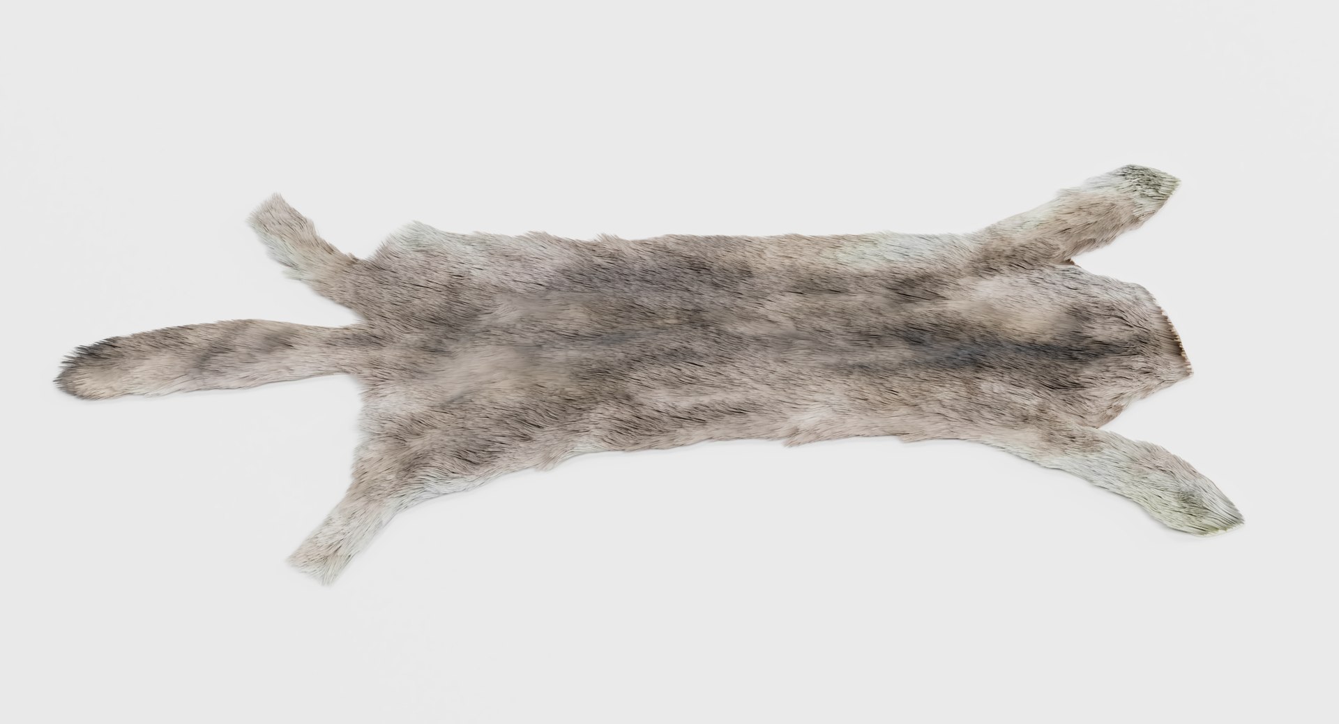 3D Wolf Skin Fur Model - TurboSquid 1368704