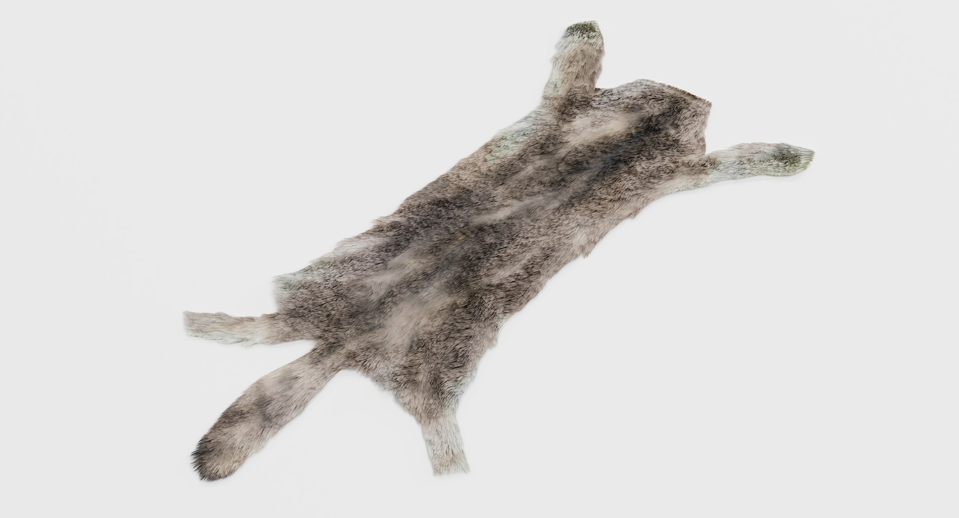 3D Wolf Skin Fur Model - TurboSquid 1368704