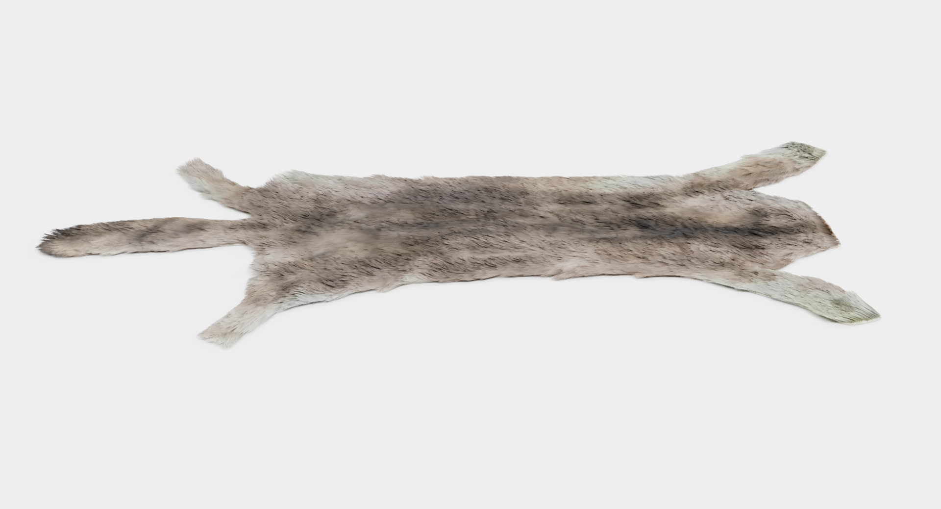 3D Wolf Skin Fur Model - TurboSquid 1368704