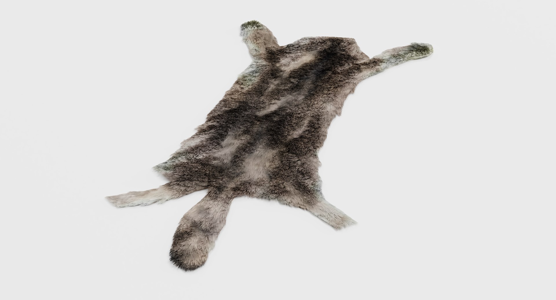 3D Wolf Skin Fur Model - TurboSquid 1368704