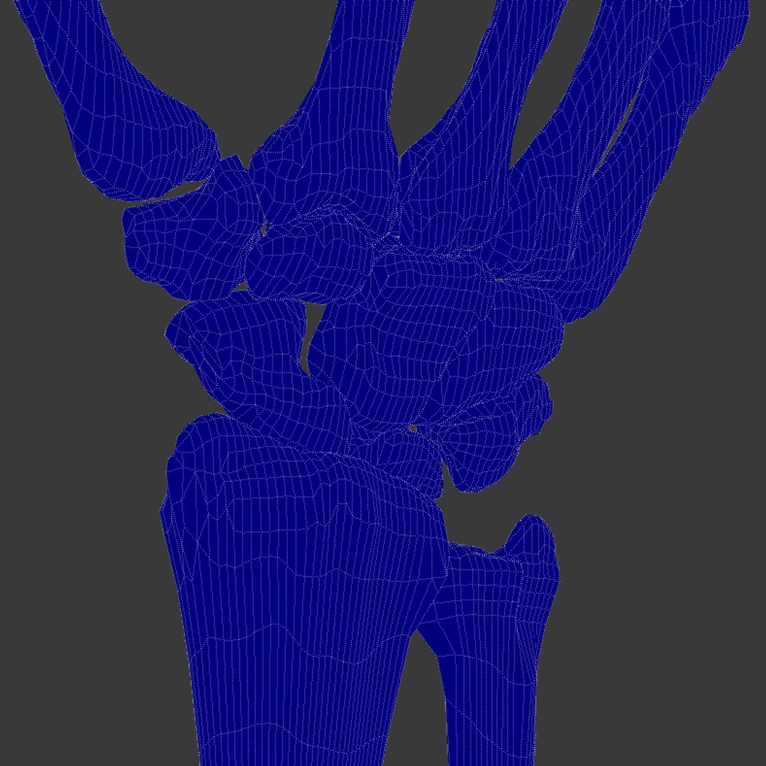 3ds max bones wrist hand