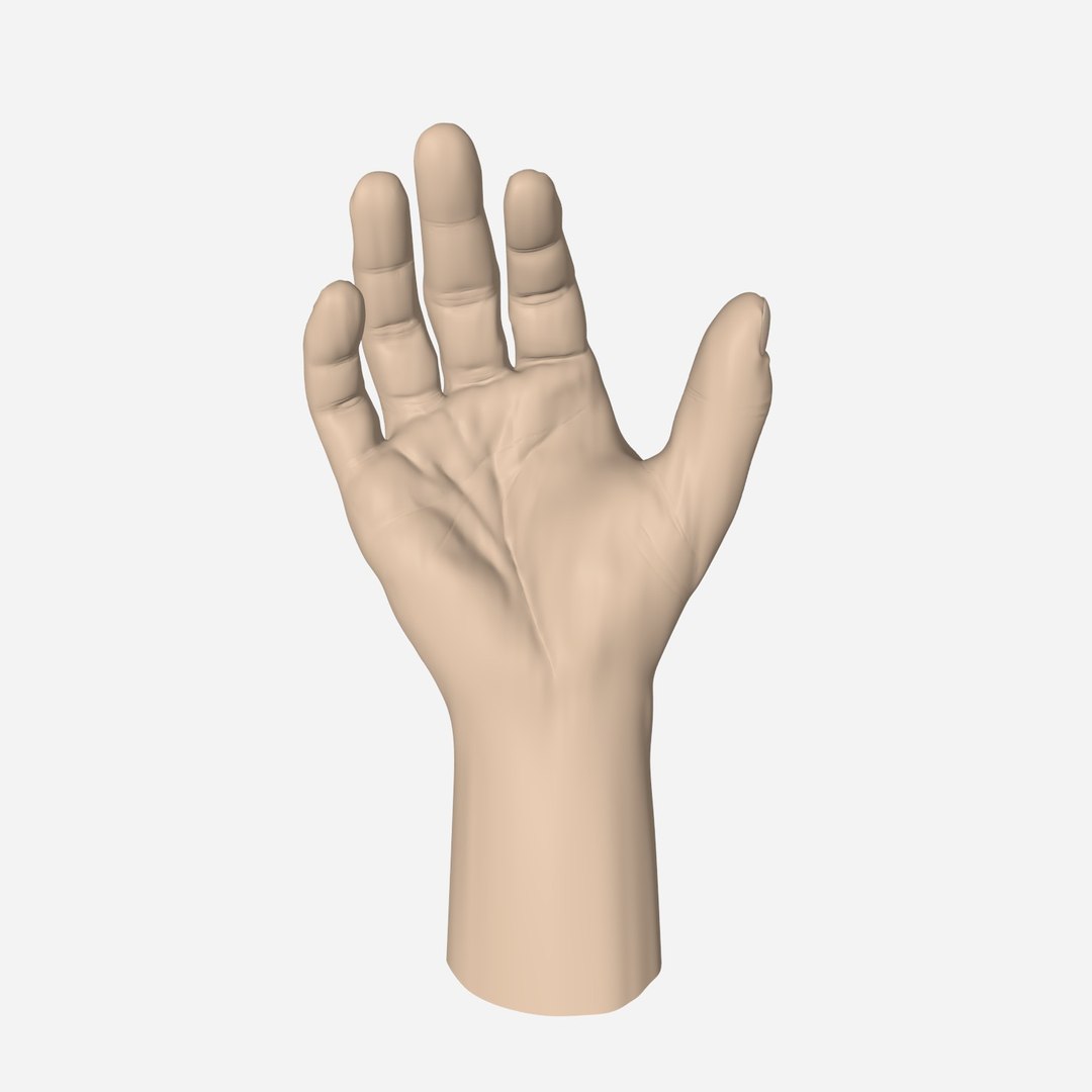 3ds max bones wrist hand