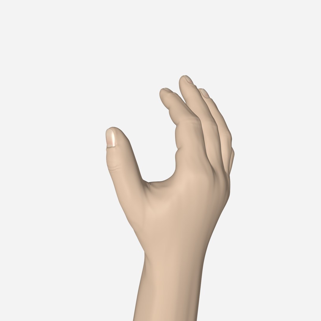 3ds max bones wrist hand
