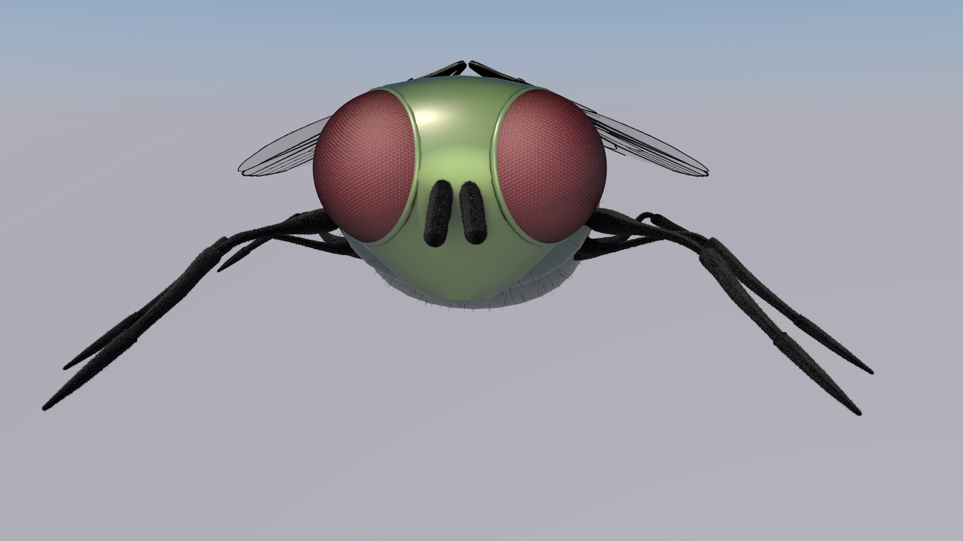 3D Fly - TurboSquid 1734683