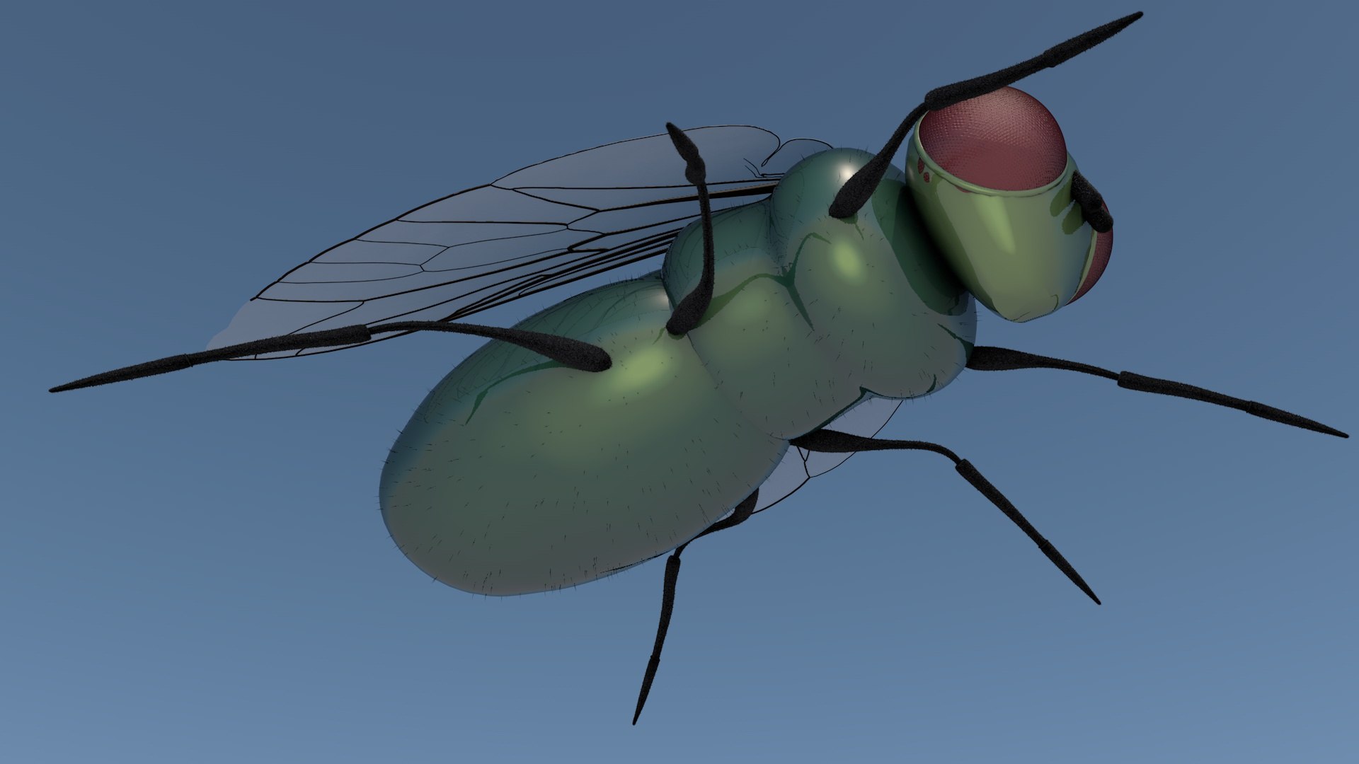 3D Fly - TurboSquid 1734683