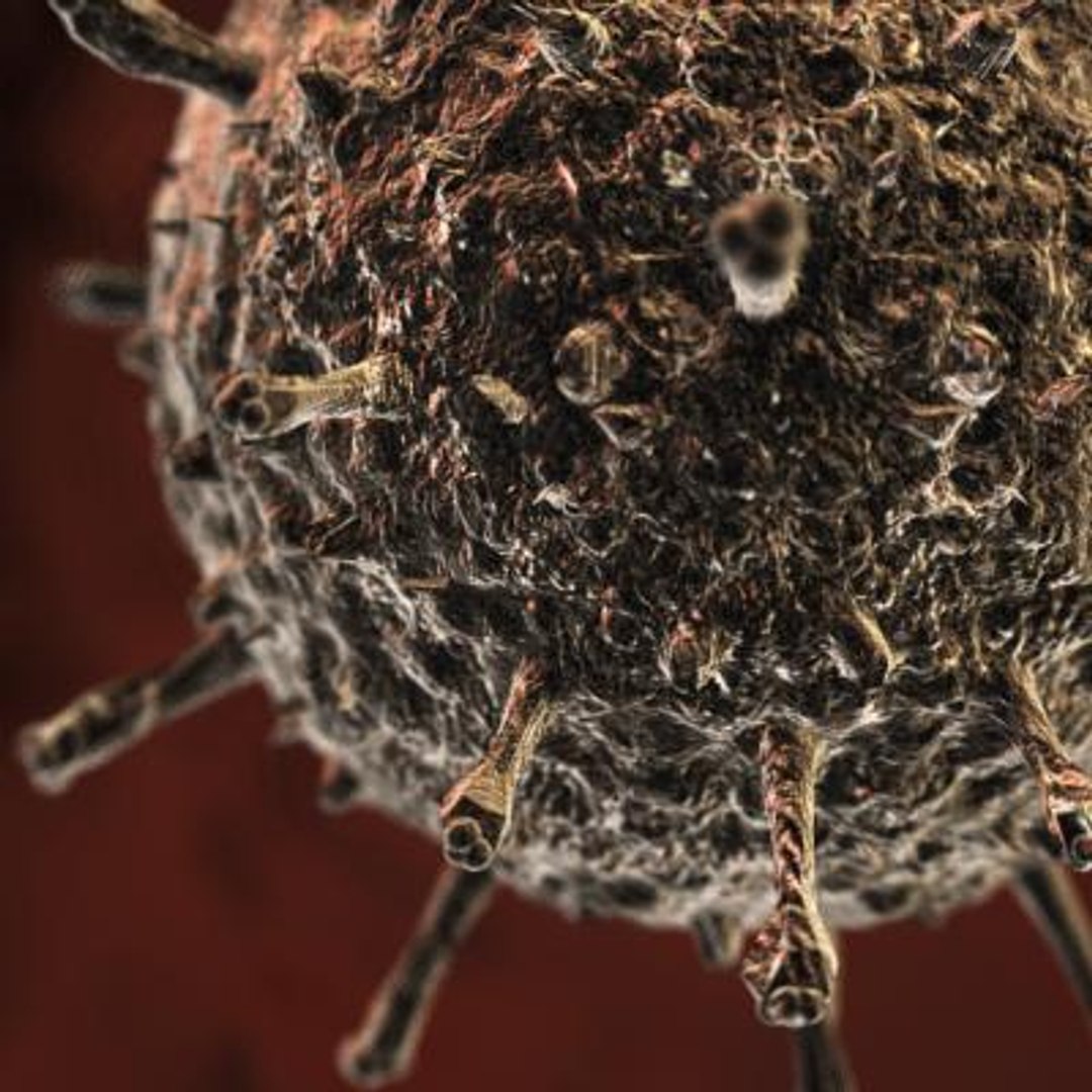 Swine Influenza Virus 3d Model