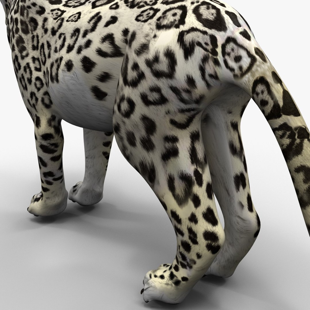 snow leopard rigged max