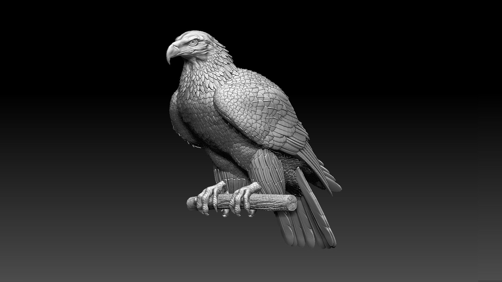 Eagle 3D - TurboSquid 1901436