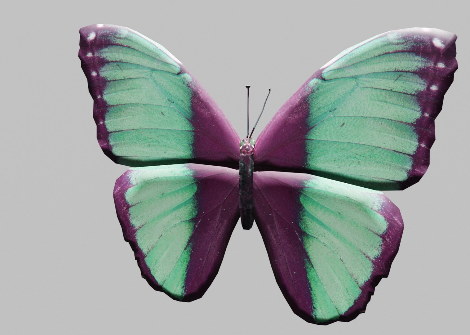 3D Butterfly Model - TurboSquid 1963150