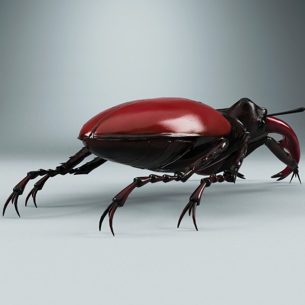 insects v6 3d model