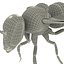 insects v6 3d model