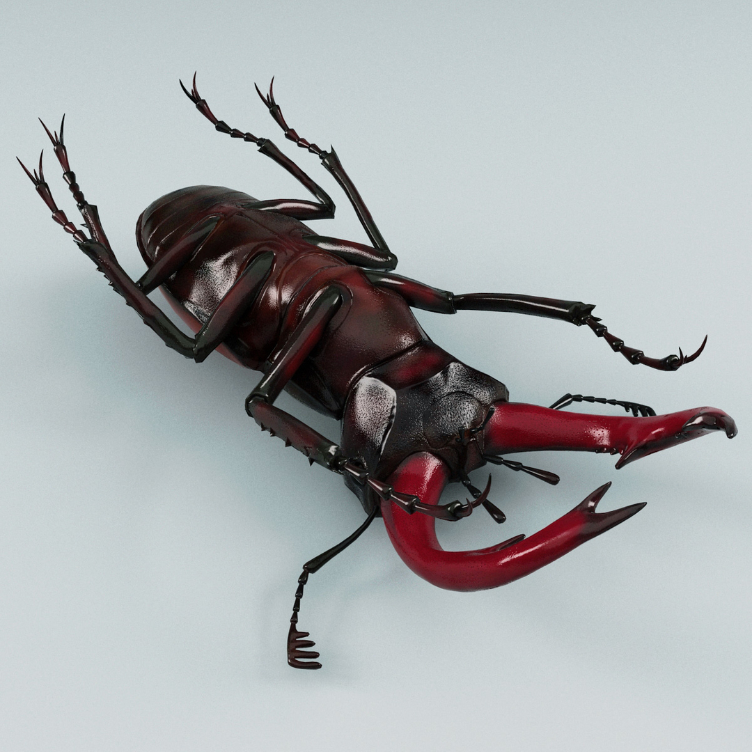insects v6 3d model
