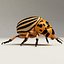 insects v6 3d model