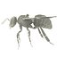 insects v6 3d model