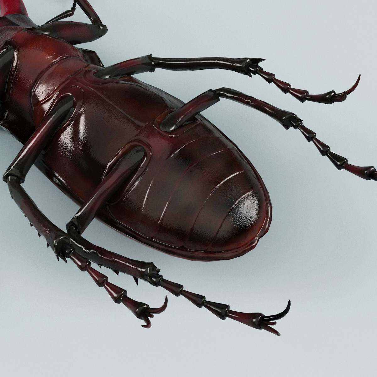 insects v6 3d model