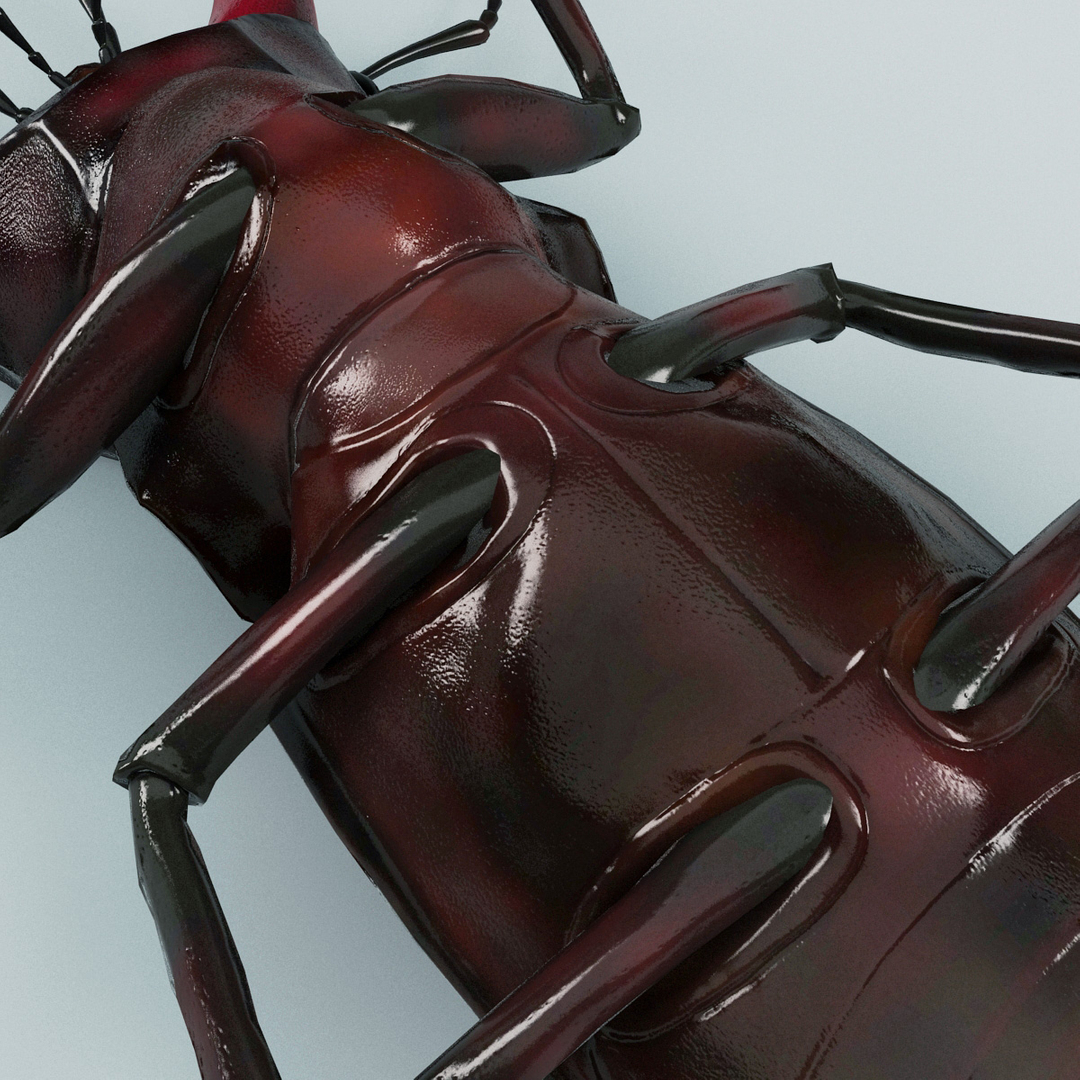 insects v6 3d model