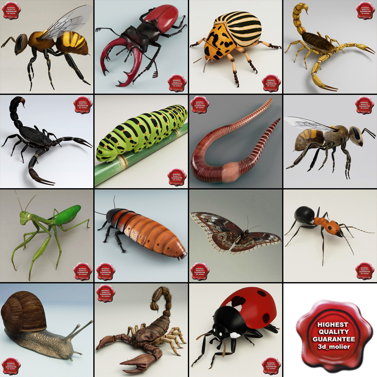 insects v6 3d model