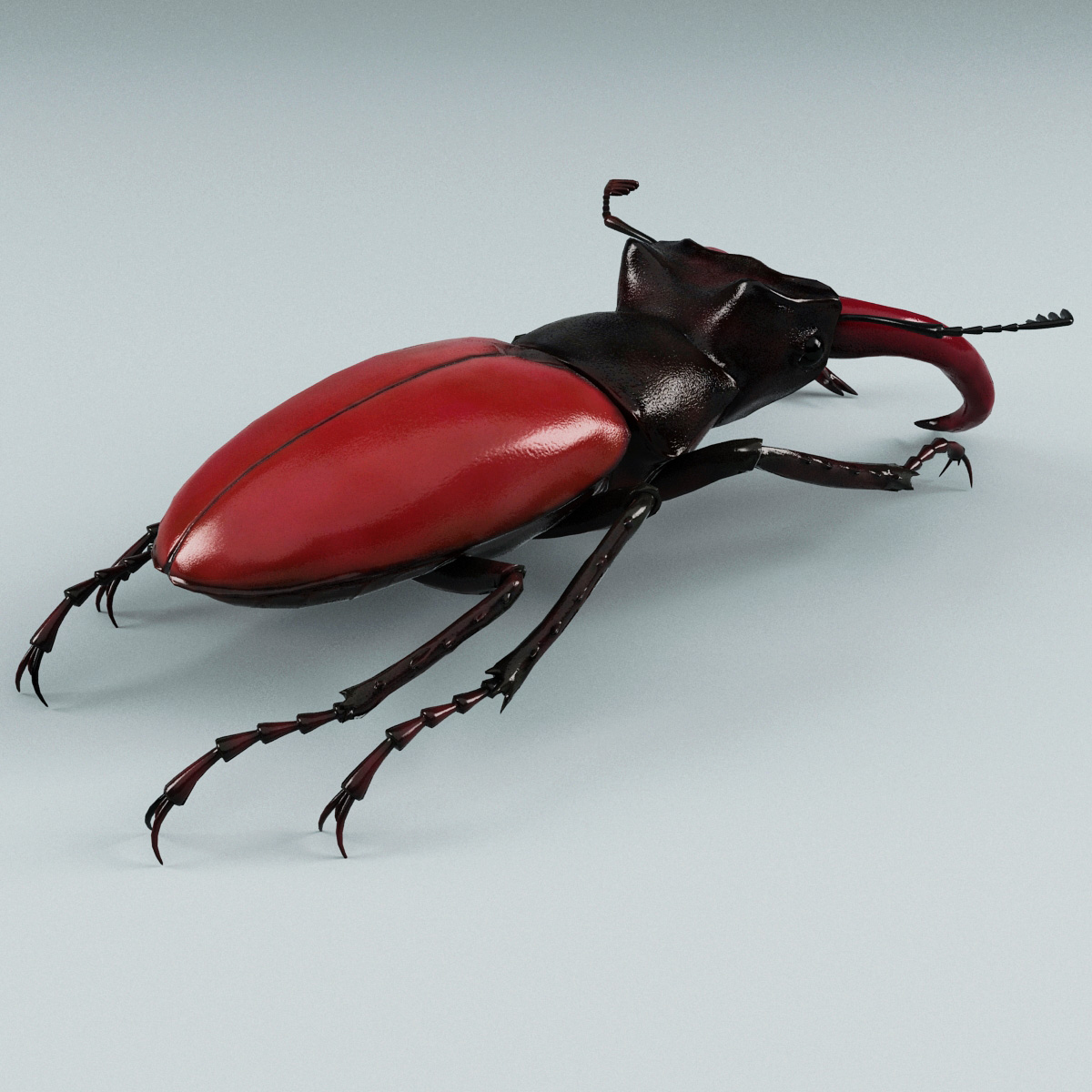 insects v6 3d model