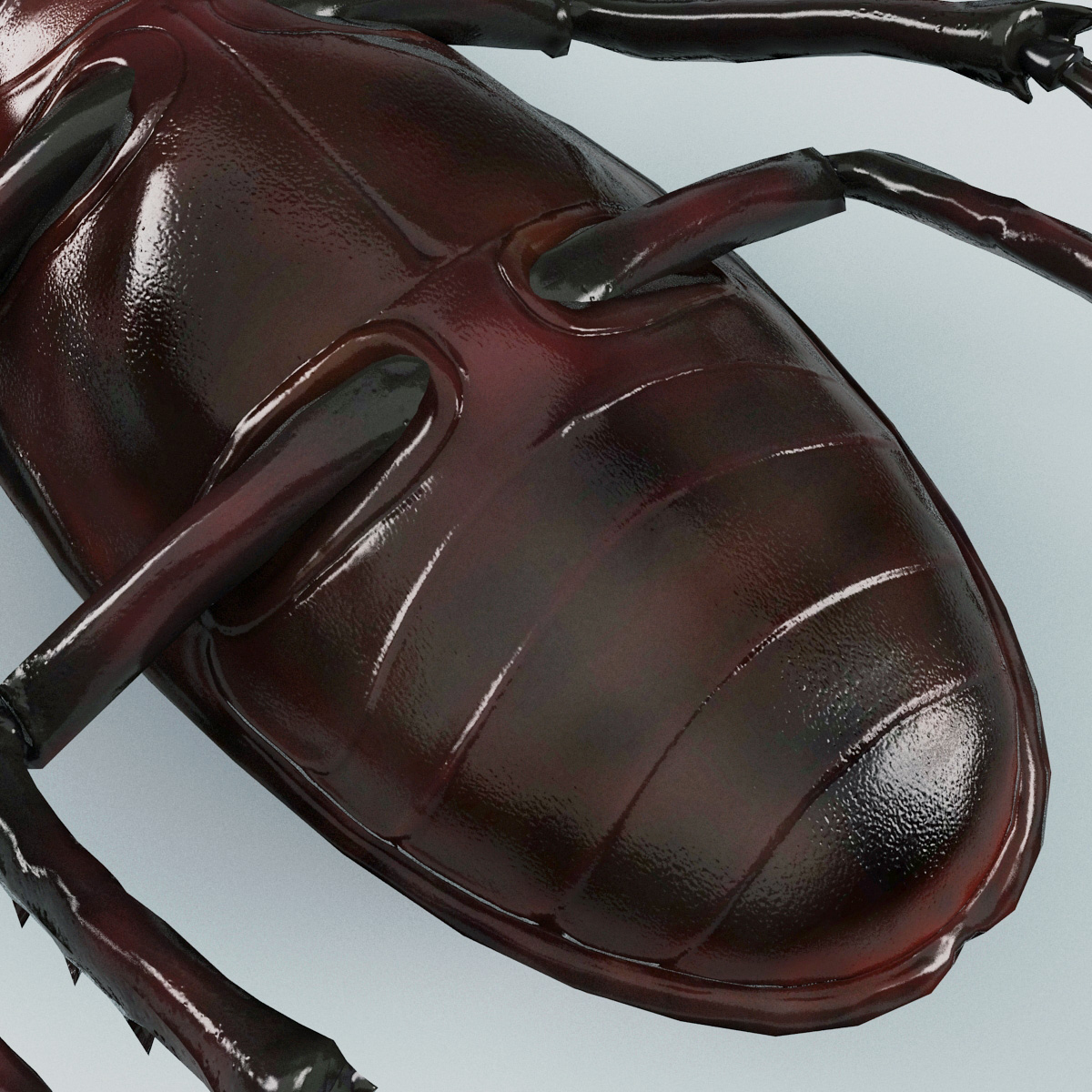 insects v6 3d model