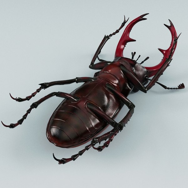insects v6 3d model