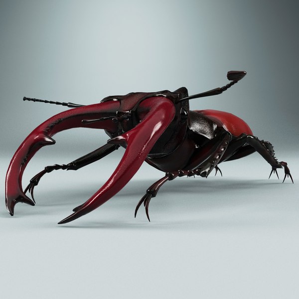 insects v6 3d model
