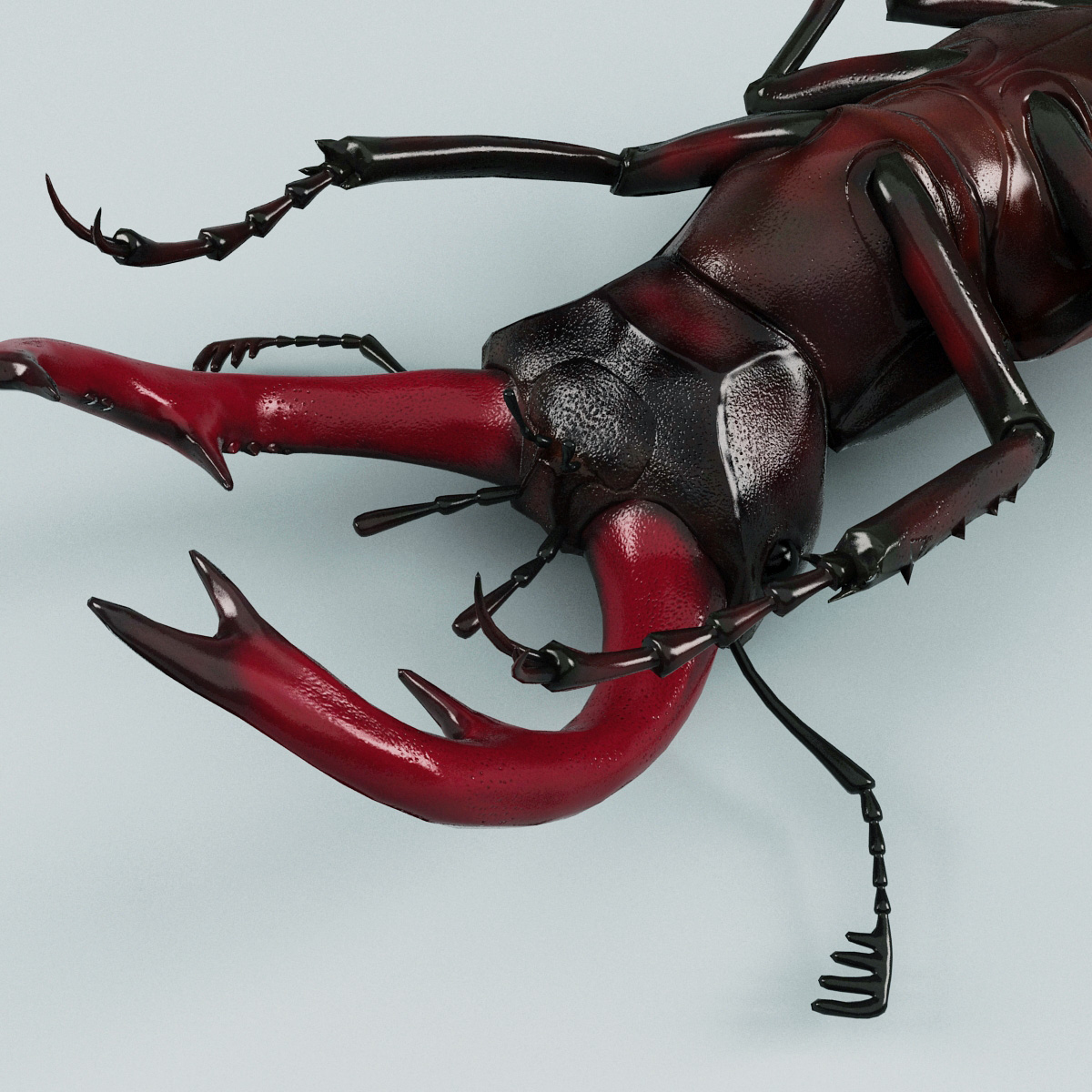 insects v6 3d model