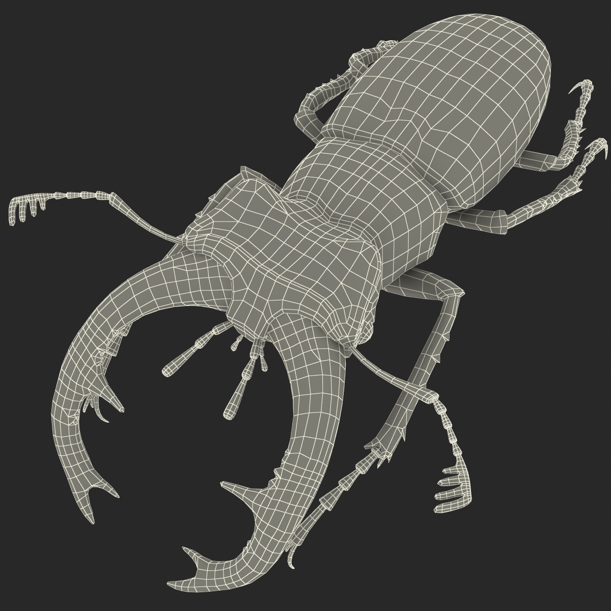 insects v6 3d model