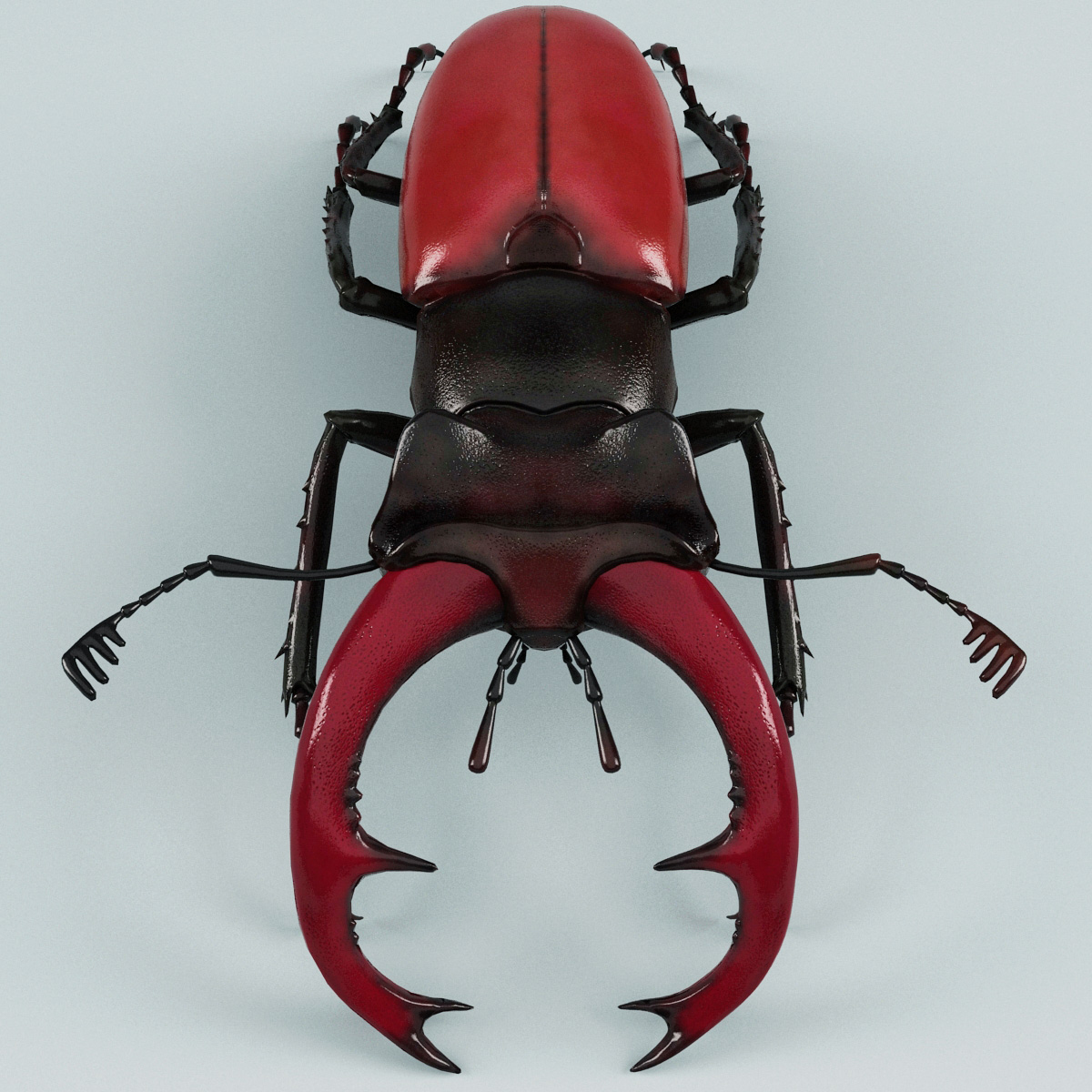 insects v6 3d model